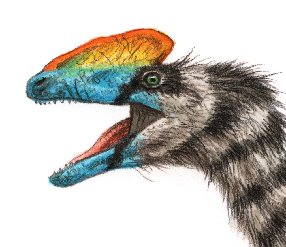 Guanlong - Esther van Hulsen