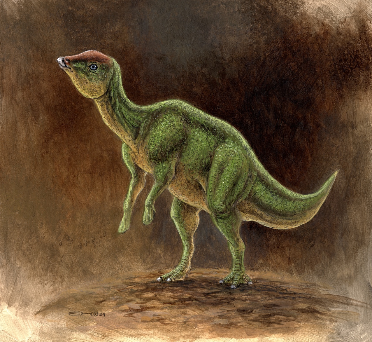 Hypacrosaurus