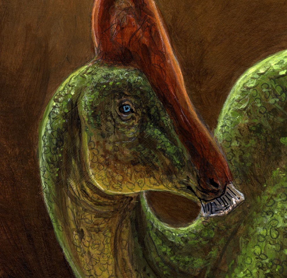 Hypacrosaurus Zelda - Esther van Hulsen