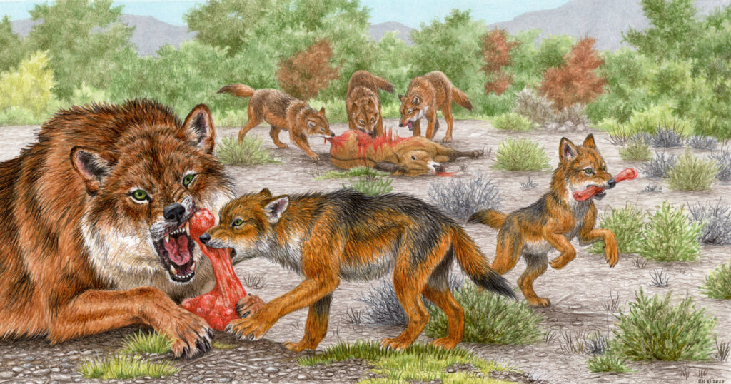 esther van hulsen Dire Wolf Canis dirus - Esther van Hulsen