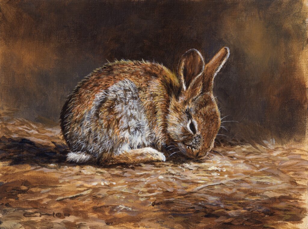 Wild Rabbit baby - Esther van Hulsen