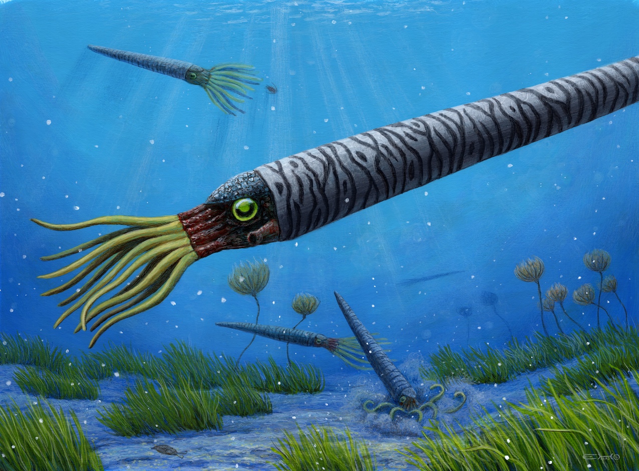 Geological Centre Slemmestad, Norway - Esther van Hulsen