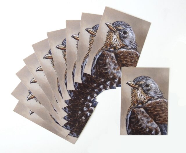 10 Fieldfare Cards - Esther van Hulsen