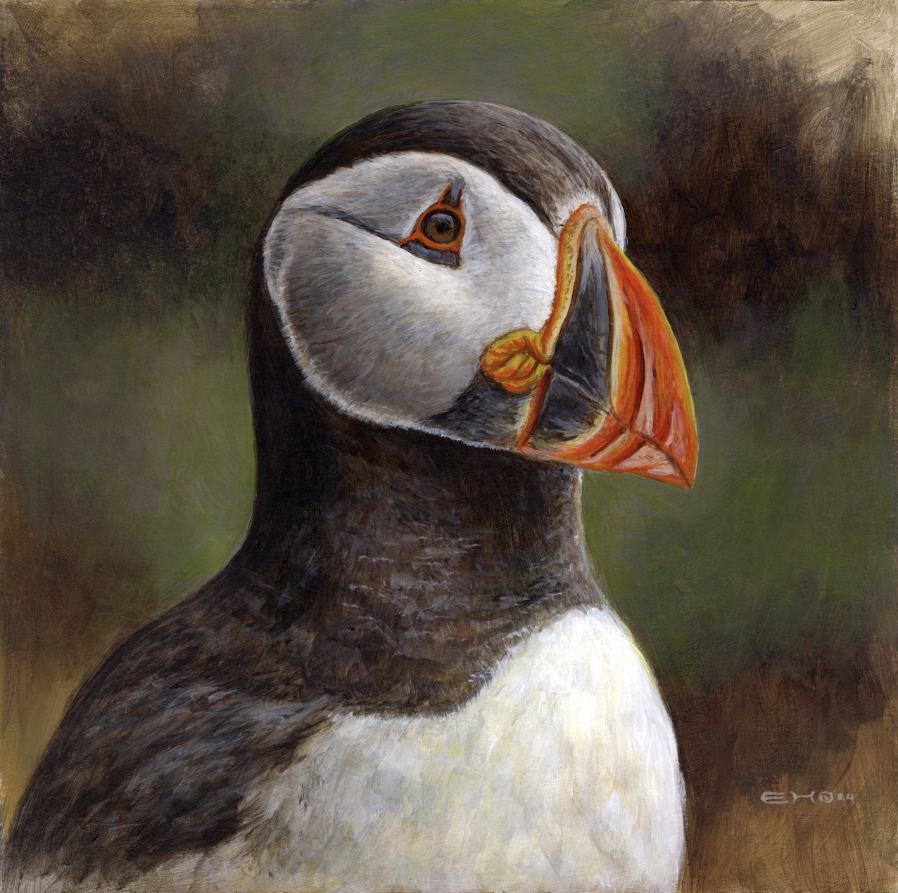 Puffin Portrait - Esther van Hulsen