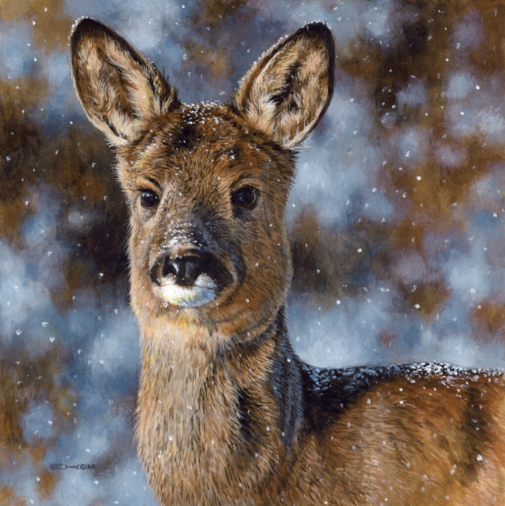 Roe Deer Portrait - Esther van Hulsen