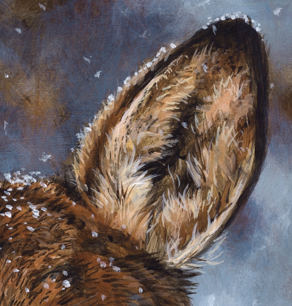 Roe Deer Portrait - Esther van Hulsen