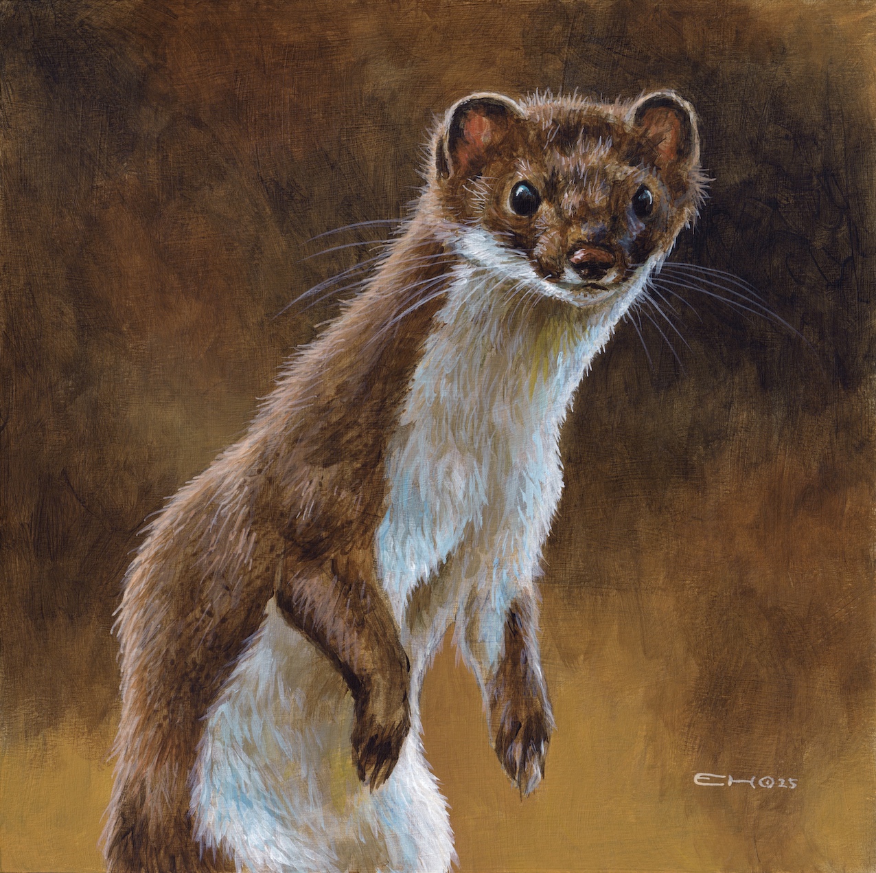 Ermine - Esther van Hulsen