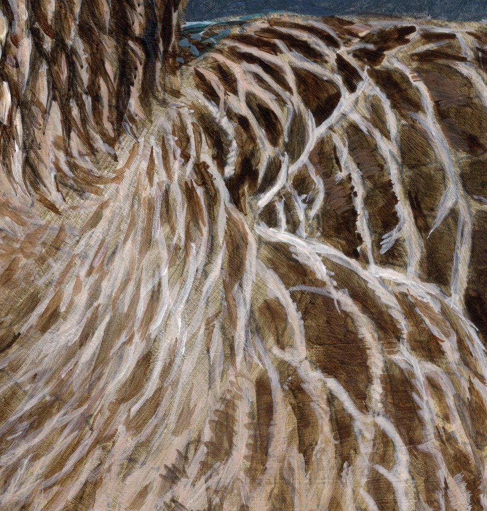 Greylag Goose Portrait - Esther van Hulsen