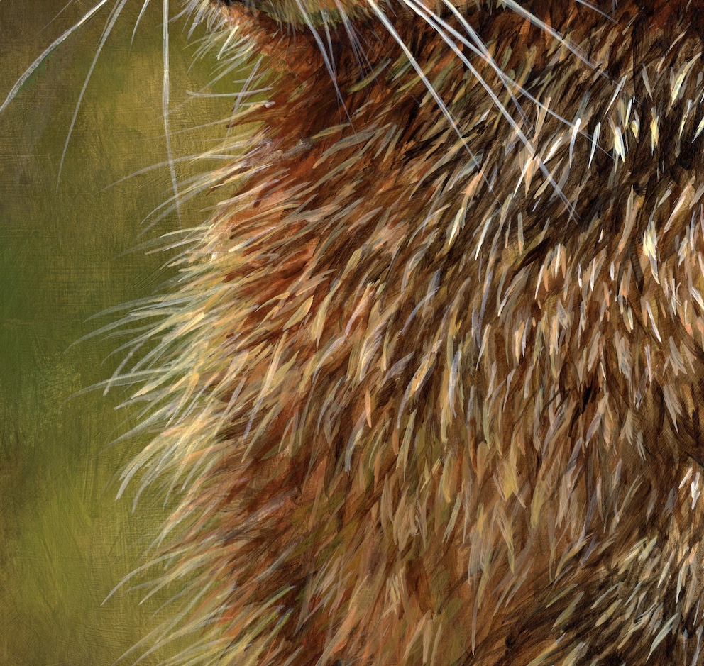 Hare Stare - Esther van Hulsen