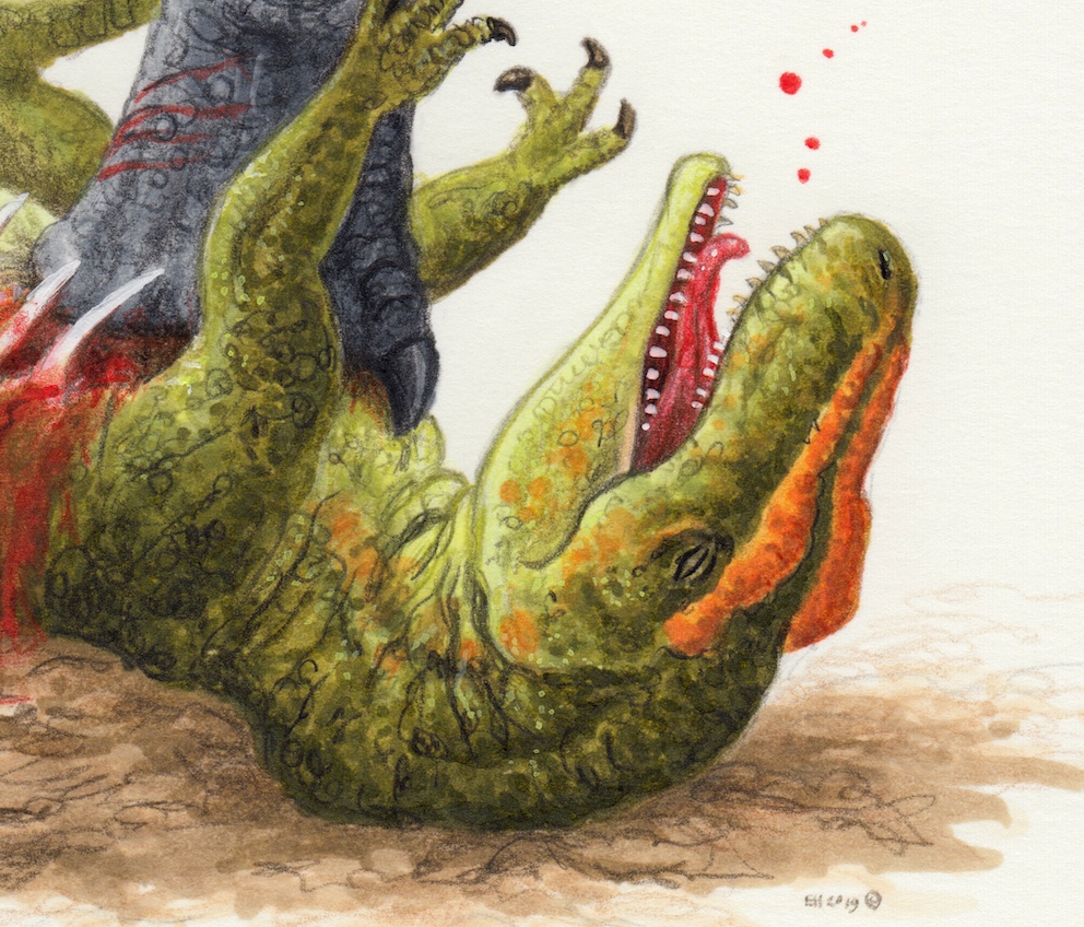 Argentinosaurus and Taurovenator - Esther van Hulsen