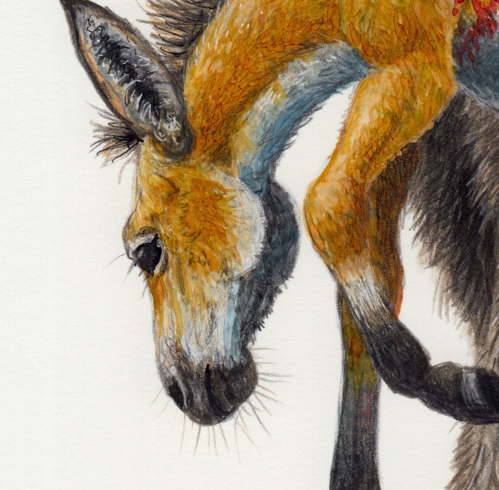 Dinopithecus - Esther van Hulsen