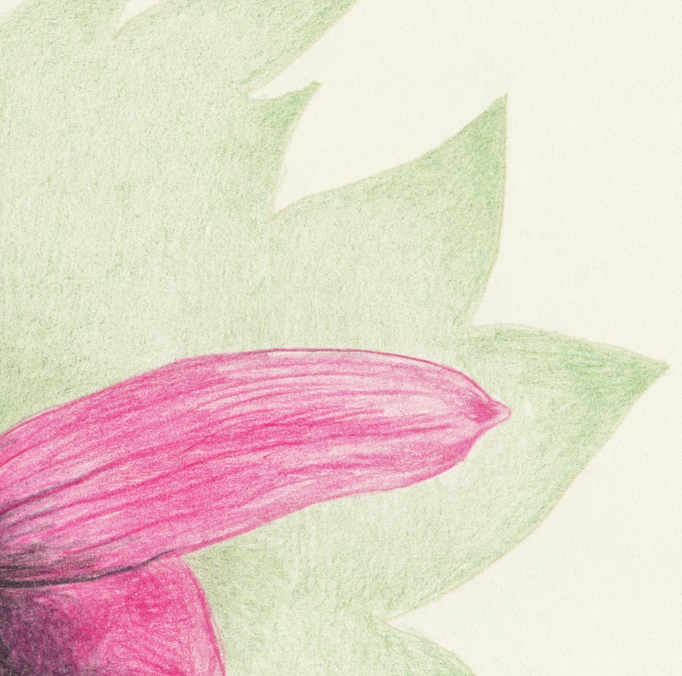 Prehistoric Flower and Bee - Esther van Hulsen