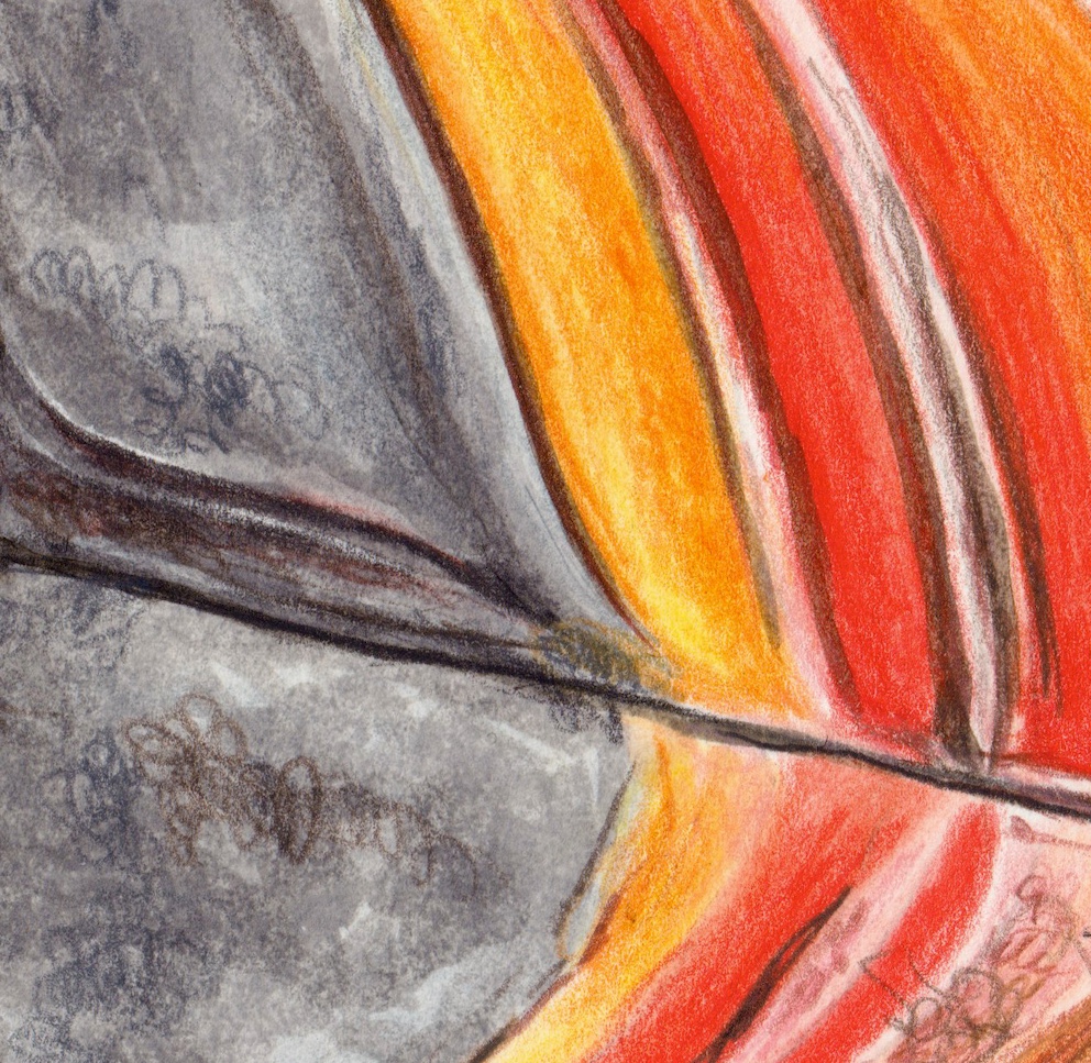 Puffin Portrait - Esther van Hulsen